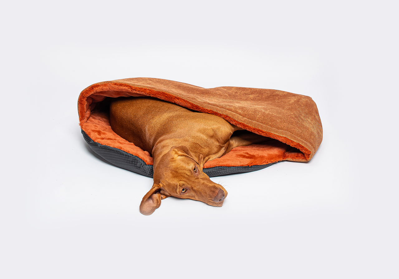 Relaunch: Feinripp Studios breathes new Life into snuggle dreamer's ...